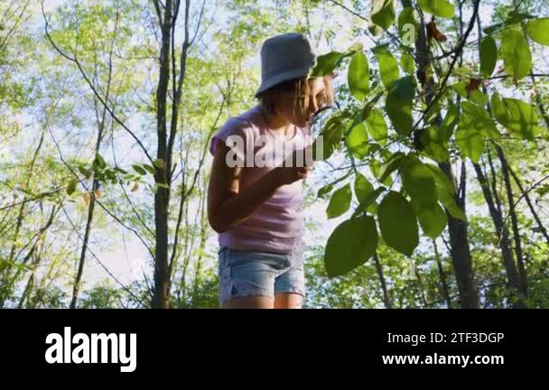 young naturalist kid is studying nature of forest with magnifying ...