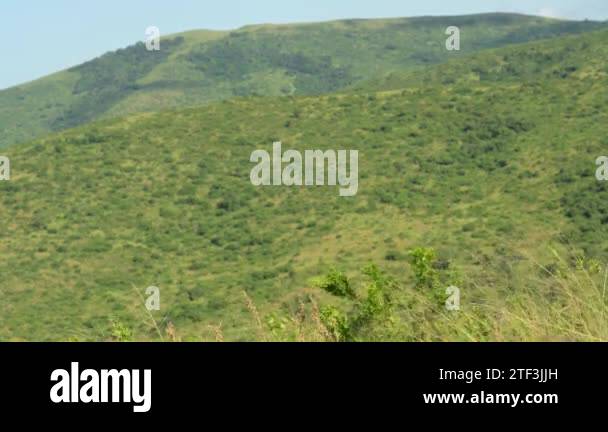 Park national nature reserve Stock Videos & Footage - HD and 4K Video ...