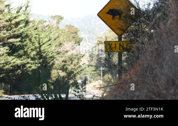 Boar traffic sign Stock Videos & Footage - HD and 4K Video Clips - Alamy