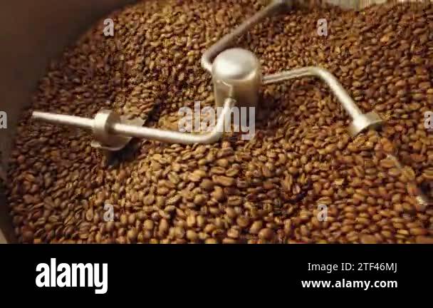 Production of freshly roasted coffee beans. Industrial mixing machine ...