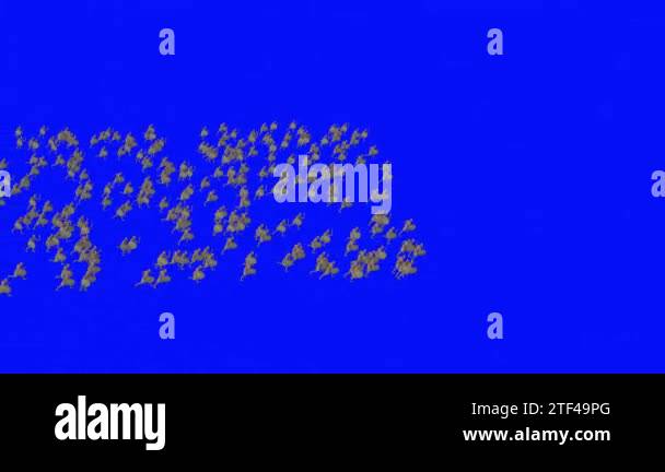 Army of a Medieval Warriors Charging and Running on a Green Screen ...