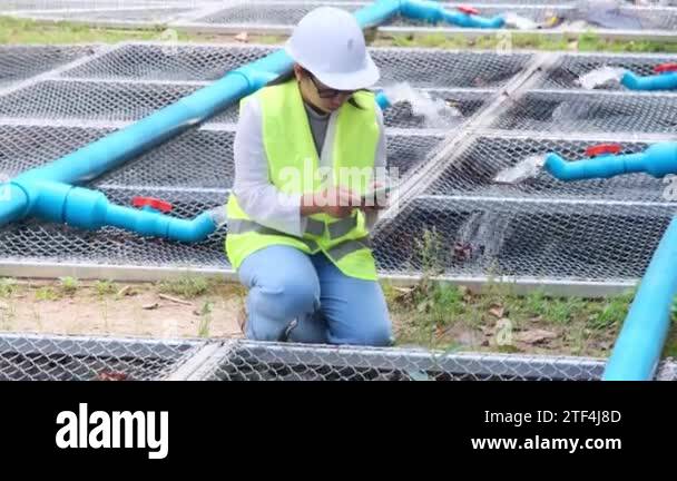Environmental engineers inspect water quality at wastewater treatment ...