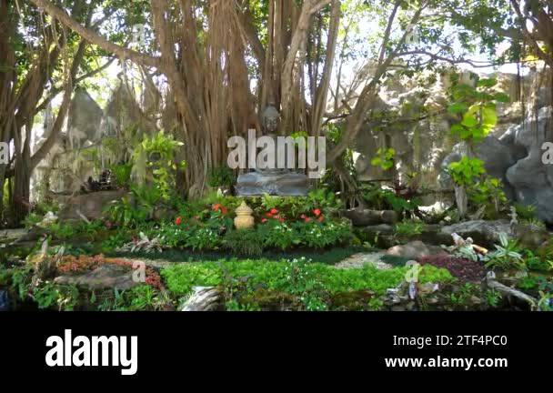 Religion temple tree trees Stock Videos & Footage - HD and 4K Video ...