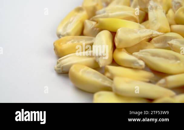 White corn kernels maize Stock Videos & Footage - HD and 4K Video Clips ...