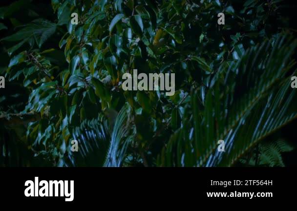 Atlas of brazil Stock Videos & Footage - HD and 4K Video Clips - Alamy