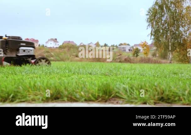 Garden red lawnmower. Low angle of side view of worker mowing lawn ...