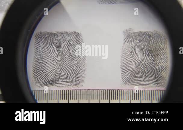 Fingerprint through magnifying glass Stock Videos & Footage - HD and 4K ...