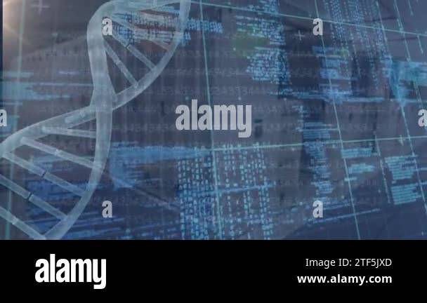Animation of dna strand spinning , data processing over glowing computer circuit board ...