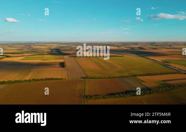 panoramic aerial footage top view over yellow fields of corn, wheat and ...