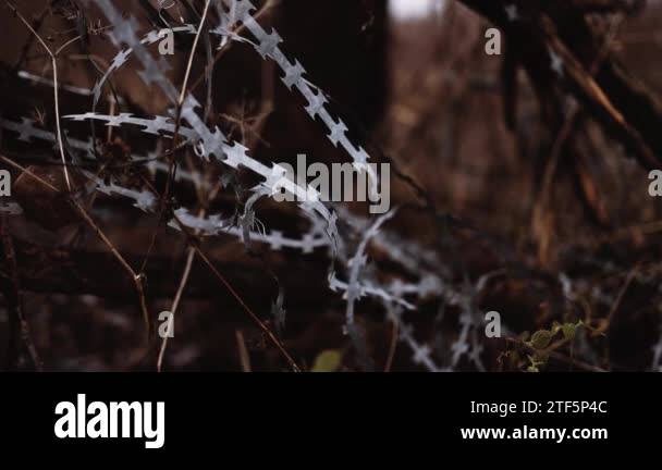 Eurupean union Stock Videos & Footage - HD and 4K Video Clips - Alamy