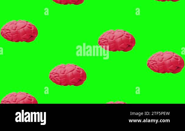 Brain animation on green screen for keying, 3D Rendered red brain ...
