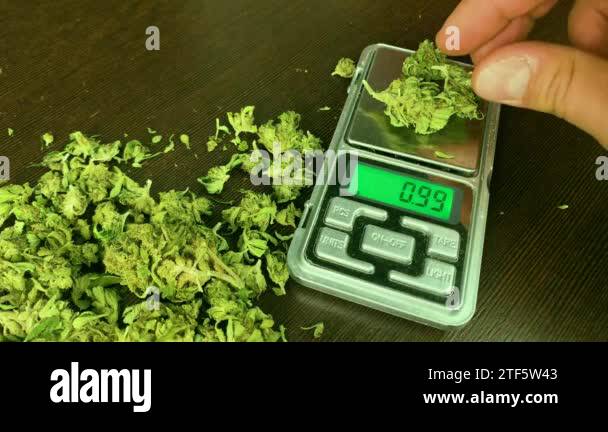 Weed on marijuana scale Stock Videos & Footage - HD and 4K Video Clips ...