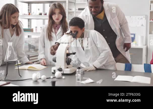 Middle school biology lab Stock Videos & Footage - HD and 4K Video ...