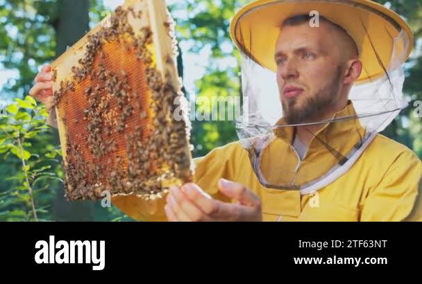 A beekeeper smiling, protected by a protective suit with a mosquito net ...