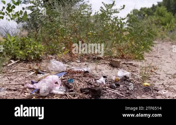 Discarded Garbage from Plastic Bottles, Plastic Bags in Sun in Forest ...