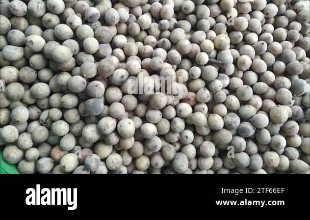 Lanseh fruit or duku. 4k videos. fruit duku collection as background ...