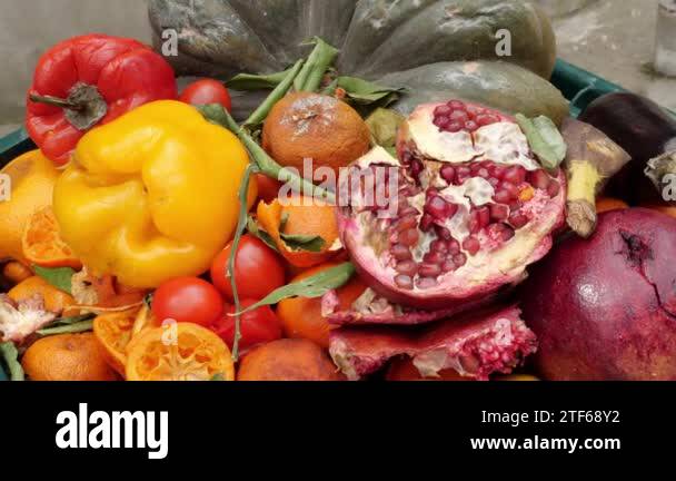 Unsold damaged uneaten fruits and vegetables in the landfil. Food waste ...