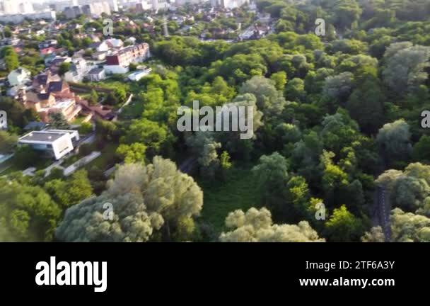 Deciduous and evergreen forest tree line Stock Videos & Footage - HD ...