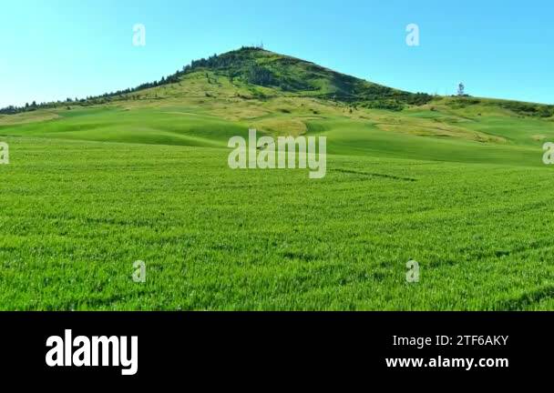 Steptoe Stock Videos & Footage - HD and 4K Video Clips - Alamy