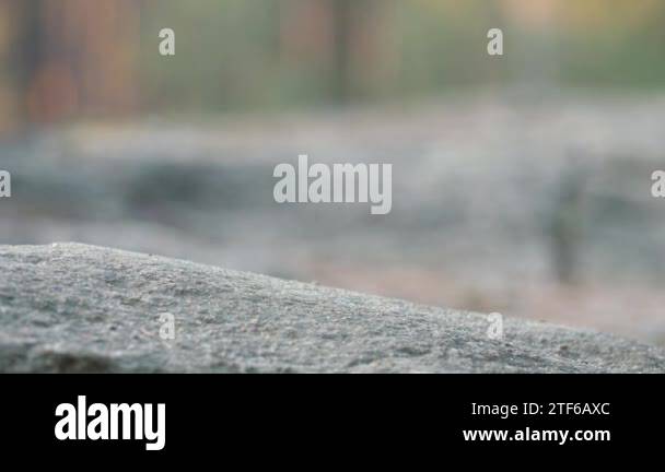 People way up steps Stock Videos & Footage - HD and 4K Video Clips - Alamy