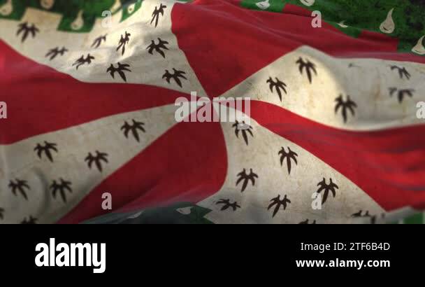 Loudoun flag Stock Videos & Footage - HD and 4K Video Clips - Alamy