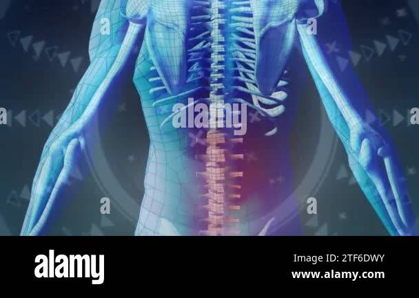 Animation of scope scanning over human body. Global medicine ...