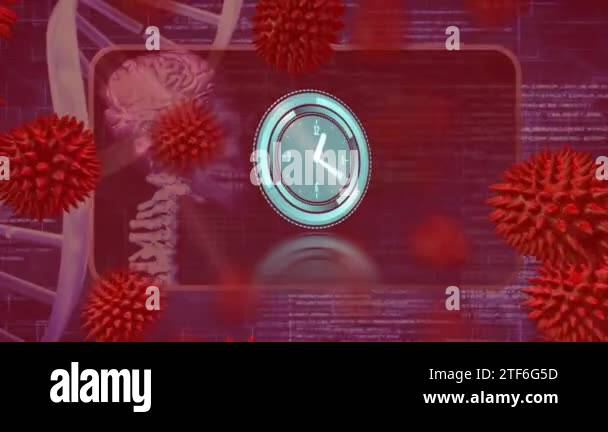 Animation of timer spinning over biological cells, dna helix and ...