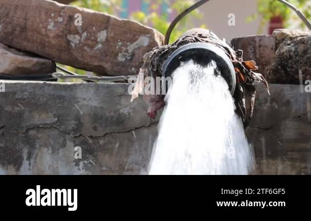 Close-up footage of Water coming out of the well by the power of an 10 ...