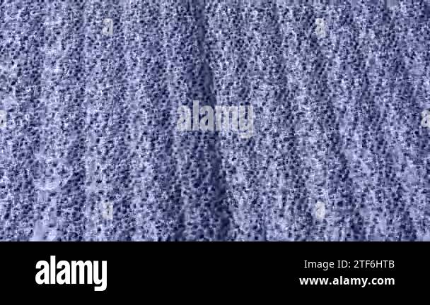 Expo 2020 Dubai Water Feature, monumental fountain in Jubilee Park ...