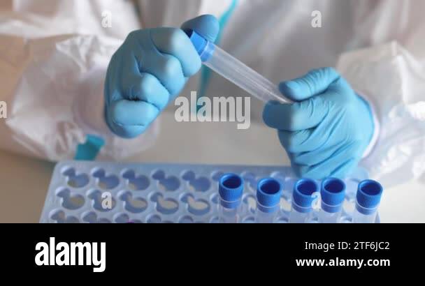 Process of coronavirus PCR antigen testing examination by nurse medic ...