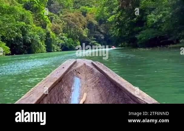 Dugout canoe on Chagres River in Panama. Motorized piragua or hamp ...