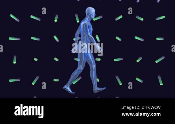 Animation of human body model and shapes over dark background. science ...