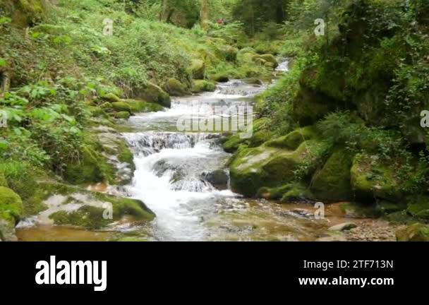 Beautiful clean transparent mountain stream in the Black Forest ...