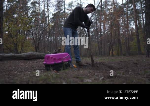 A sad man is digging a grave with a shovel for a pet mitt. The owner of ...