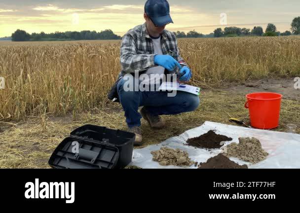 Male agronomist preparing for measurement of soil samples by using ...