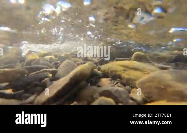 Flow of water in mountain river. View inside from below. Flowing water ...