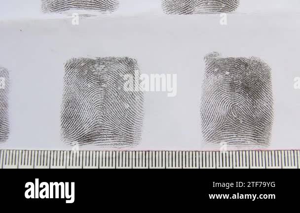 Forensic ruler Stock Videos & Footage - HD and 4K Video Clips - Alamy