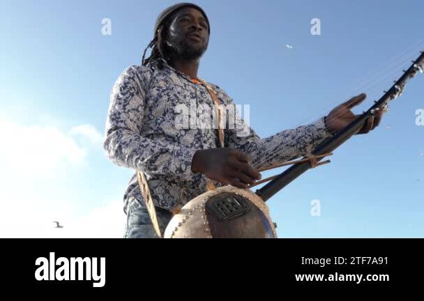 Indigenous string instrument Stock Videos & Footage - HD and 4K Video ...