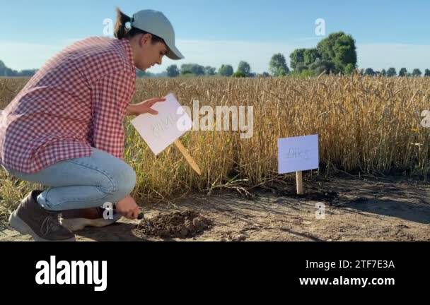 Crop sign Stock Videos & Footage - HD and 4K Video Clips - Alamy