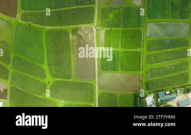 Public overlook Stock Videos & Footage - HD and 4K Video Clips - Alamy