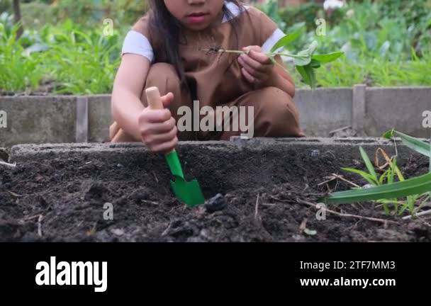 Cute little girl planting young tree in backyard vegetable garden Stock ...