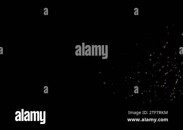 Swarming sparks on black background, 2d particle animation Stock Video ...