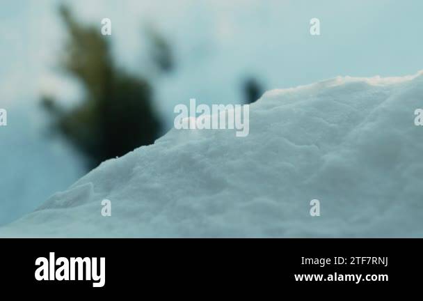 The snow white Stock Videos & Footage - HD and 4K Video Clips - Alamy