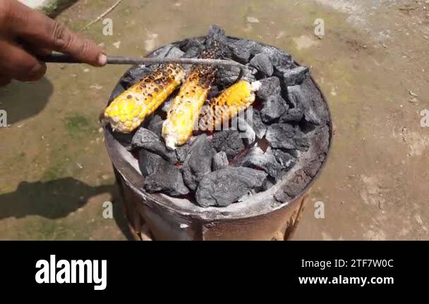 Grilled corn cobs on coal stove.Fresh roasted corncobs on coal fire ...