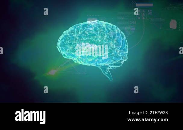 Animation of brain rotating over green and black background. human biology, anatomy, science and ...