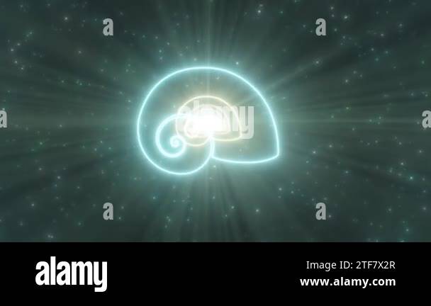 Nautilus Shell Ocean Seashell Shape Outline Neon Lights Tunnel Portal ...