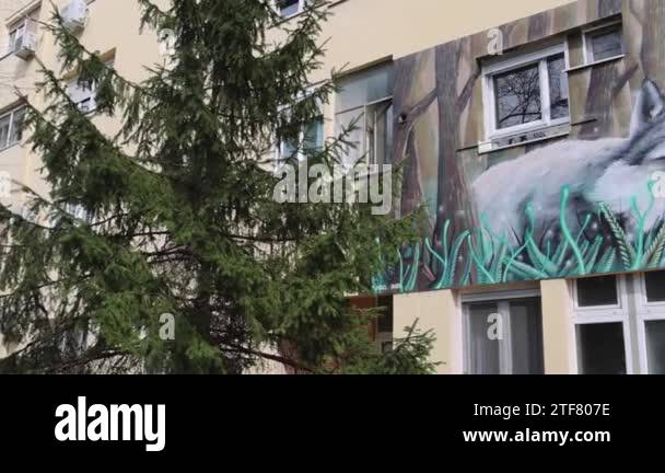 Little red riding hood house Stock Videos & Footage - HD and 4K Video ...