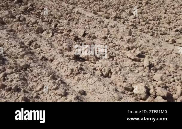 arid land and drought problems - lack of rain and water create problems ...