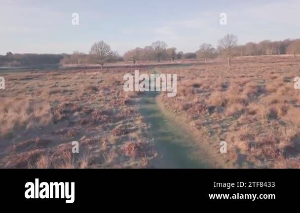 Richmond park view Stock Videos & Footage - HD and 4K Video Clips - Alamy
