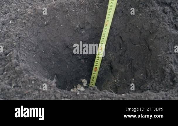 Measuring plants ruler Stock Videos & Footage - HD and 4K Video Clips ...